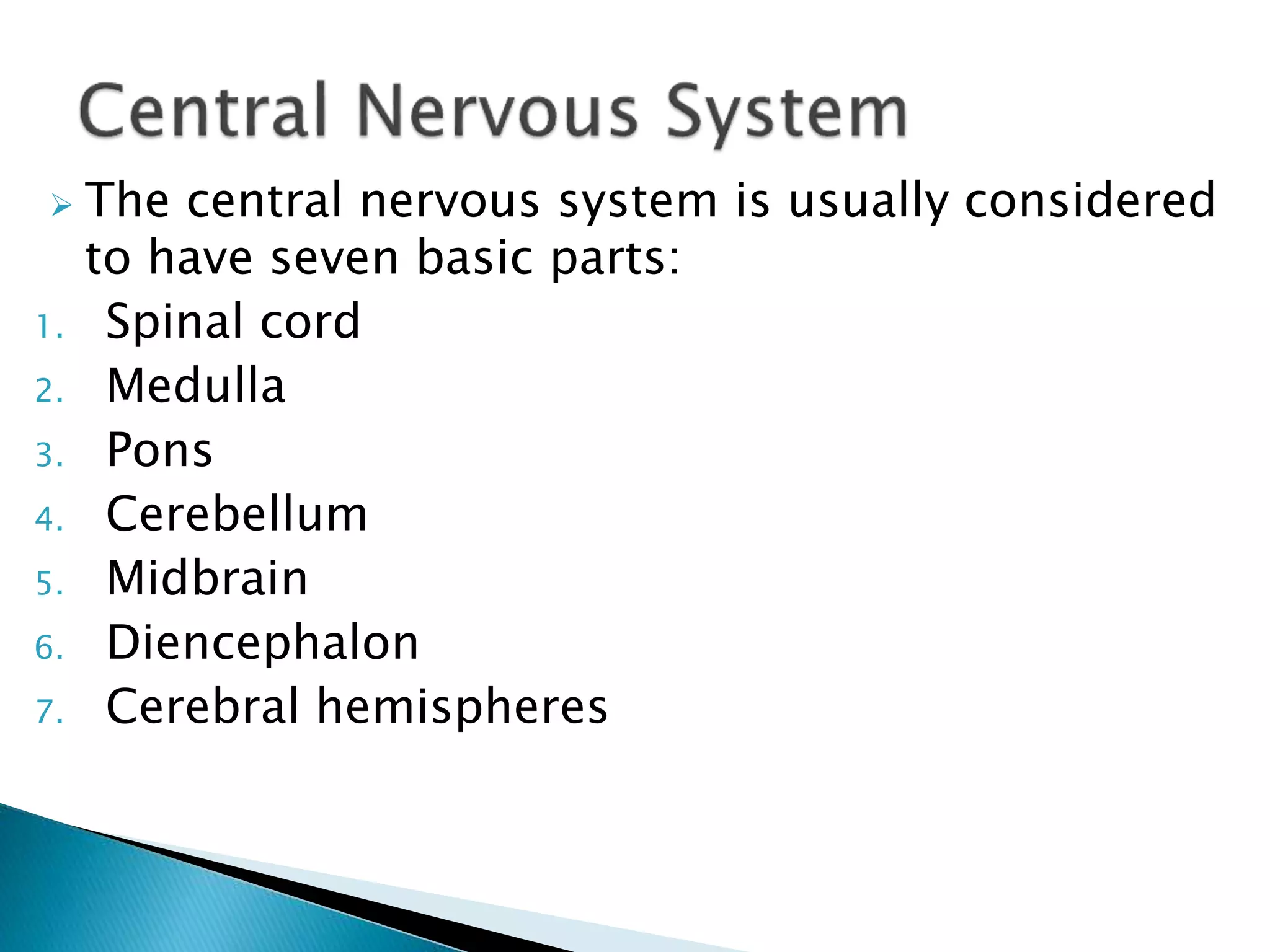 CNS.ppt