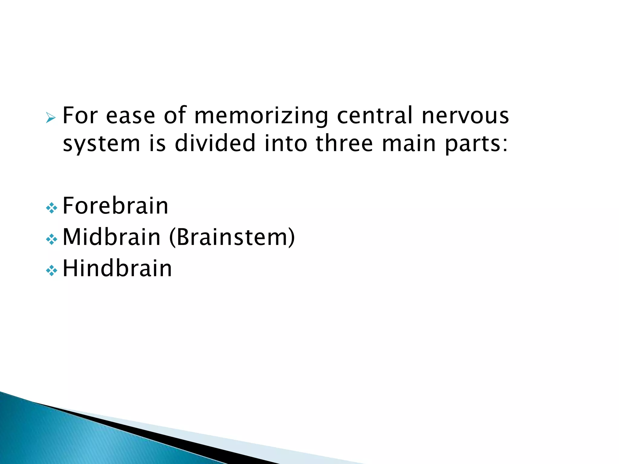 CNS.ppt