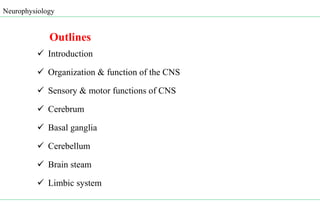 Central nervous system detail power point | PPT