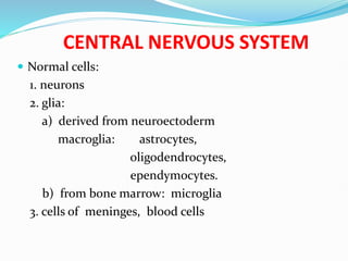 CENTRAL NERVOUS SYSTEM PATHOGENESIS AND PATHOLOGY | PPTX