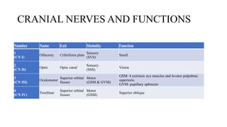 CNS ANATOMY AND PHYSIOLOGY PRESENATTION.pptx