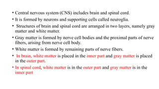 CNS ANATOMY AND PHYSIOLOGY PRESENATTION.pptx