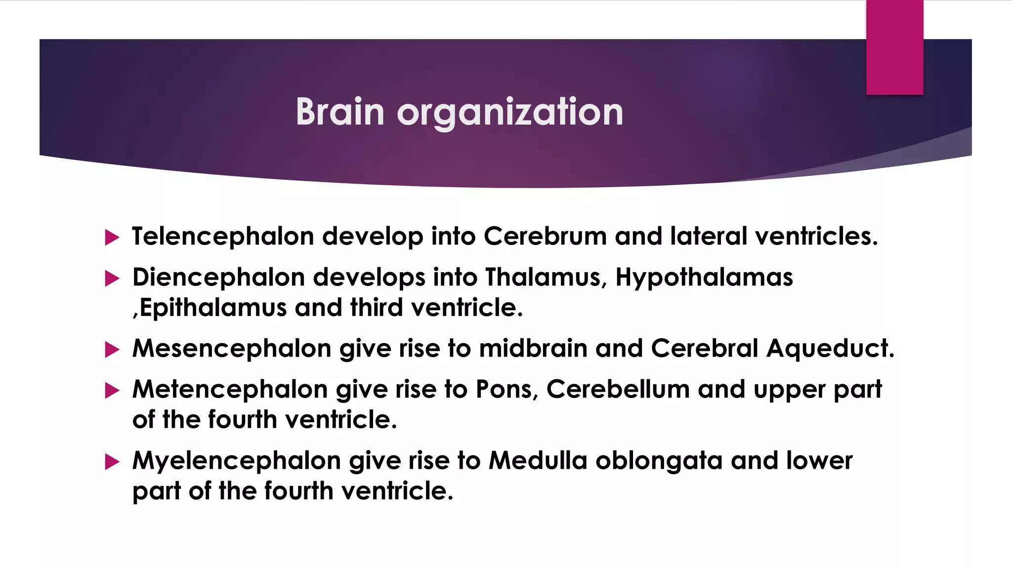 CNS Anatomy & Functions. | PDF