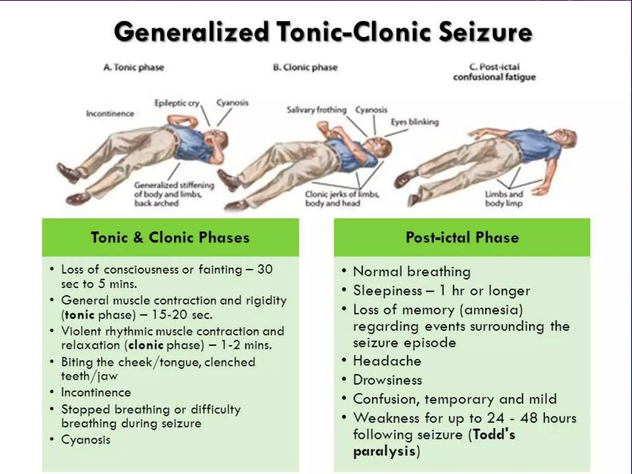 Anti-epileptic drugs | PPTX