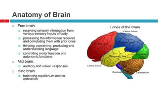 Cns clinical evaluation of hemiplegia slideshare upload | PPTX