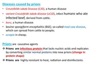 cns -fugi - prion and ab Fsces e3.pptx
