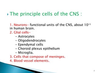Cns ii,mbbs | PPTX