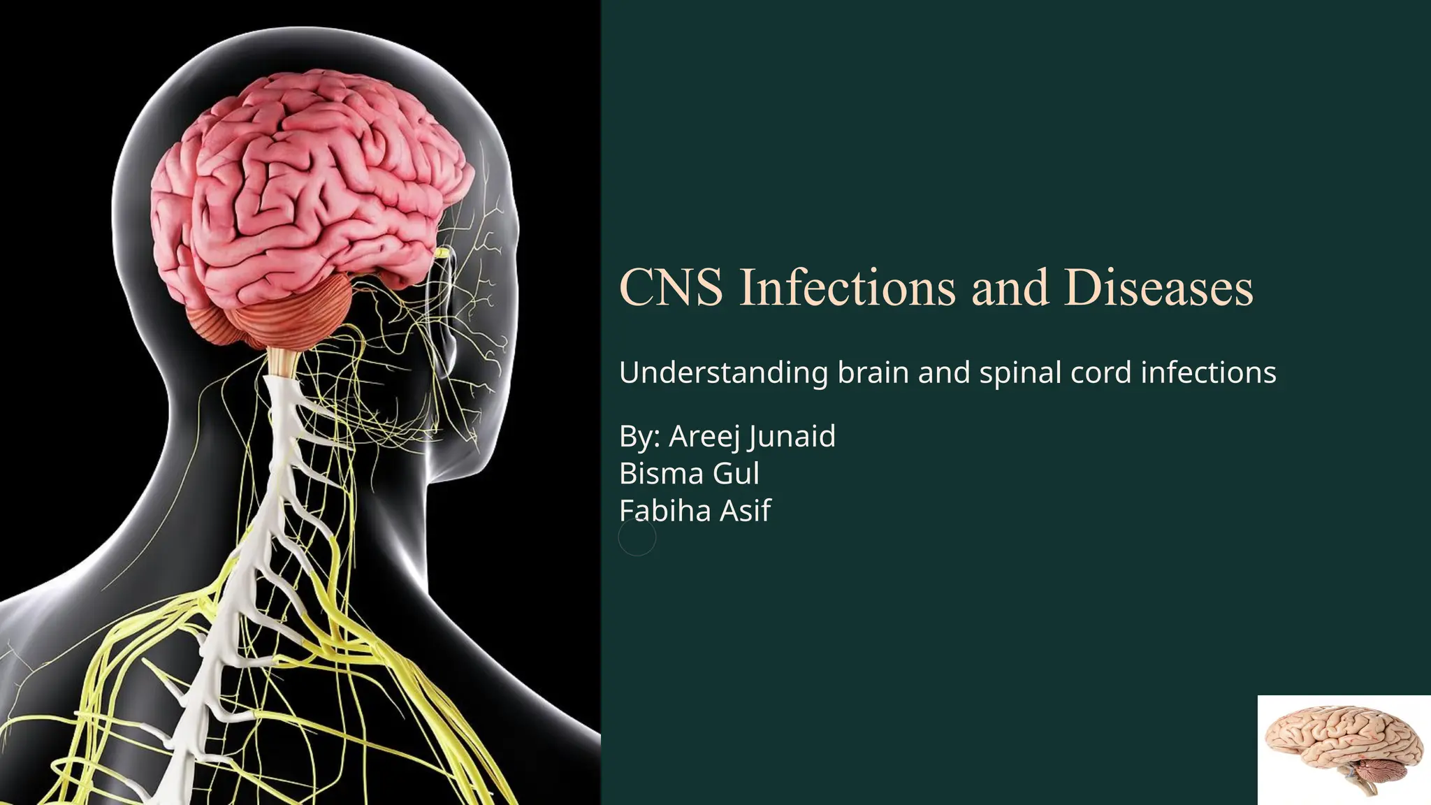 CNS-Infections-and-Diseases (1).pptx brain and spinal cord | PPTX