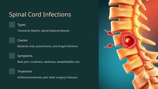 CNS-Infections-and-Diseases (1).pptx brain and spinal cord | PPTX