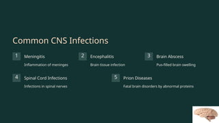 CNS-Infections-and-Diseases (1).pptx brain and spinal cord | PPTX