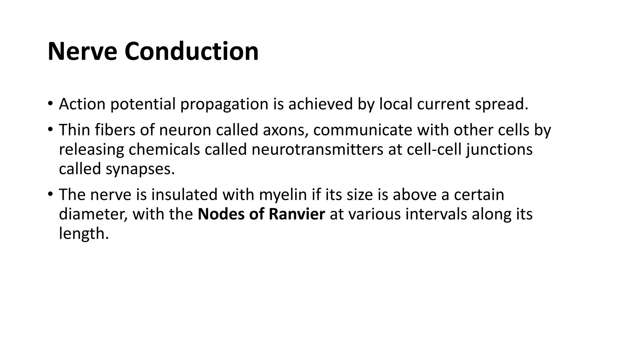 CNS - Introduction and Organisation Lecture 1.pptx