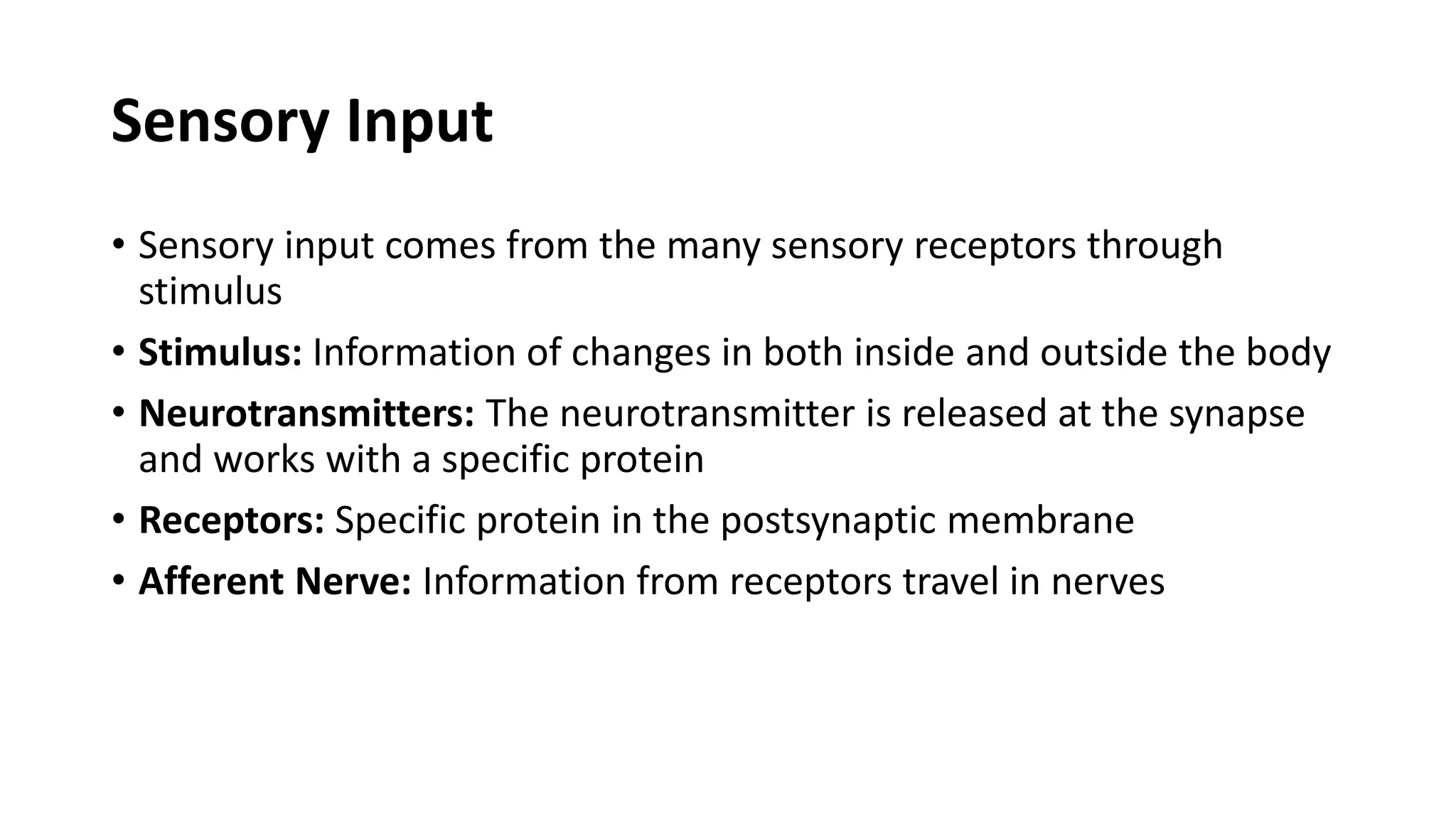 CNS - Introduction and Organisation Lecture 1.pptx