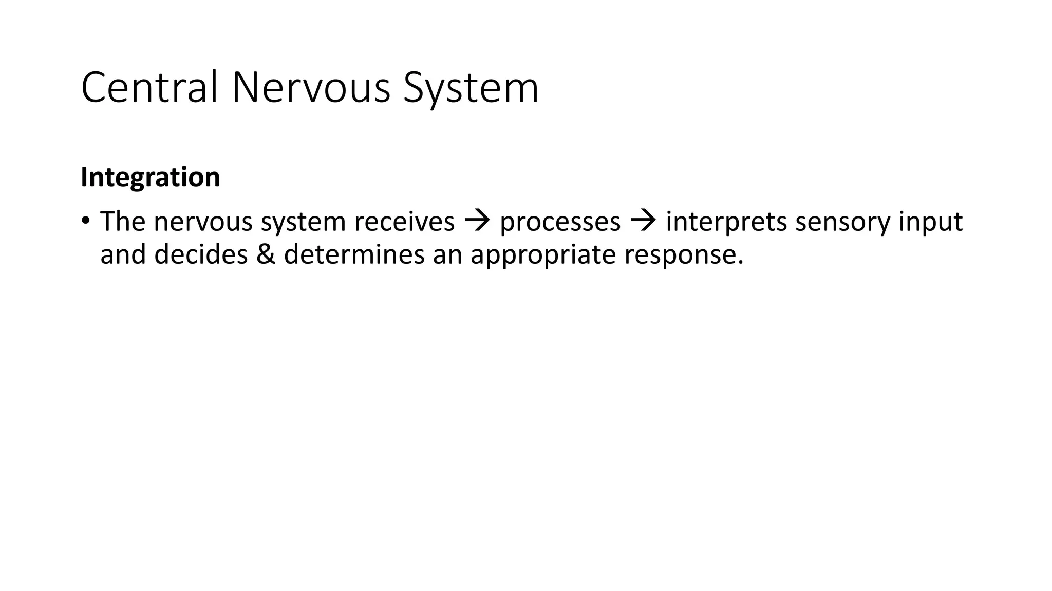 CNS - Introduction and Organisation Lecture 1.pptx