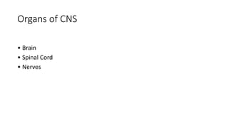 CNS - Introduction and Organisation Lecture 1.pptx