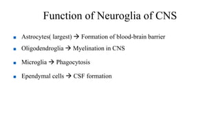 CNS - Introduction and Organisation Lecture 1.pptx