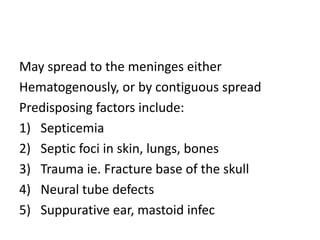 Meningitis | PPTX
