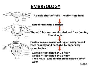 Neural tube defects and Craniosynostosis | PPTX