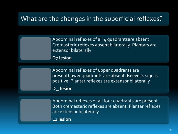 Clinical Approach to Paraplegia