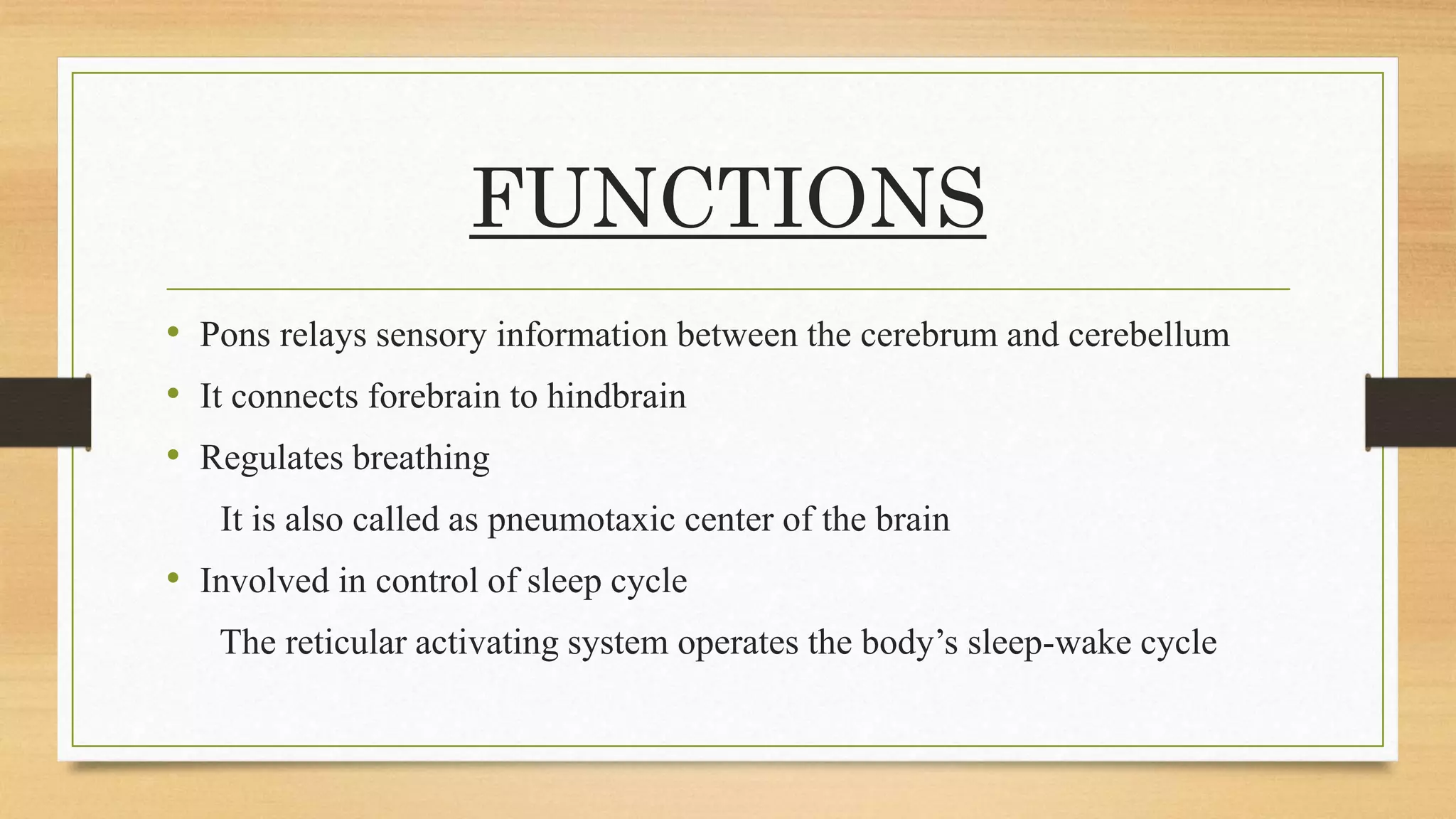 pons CNS neurophysiology | PPTX