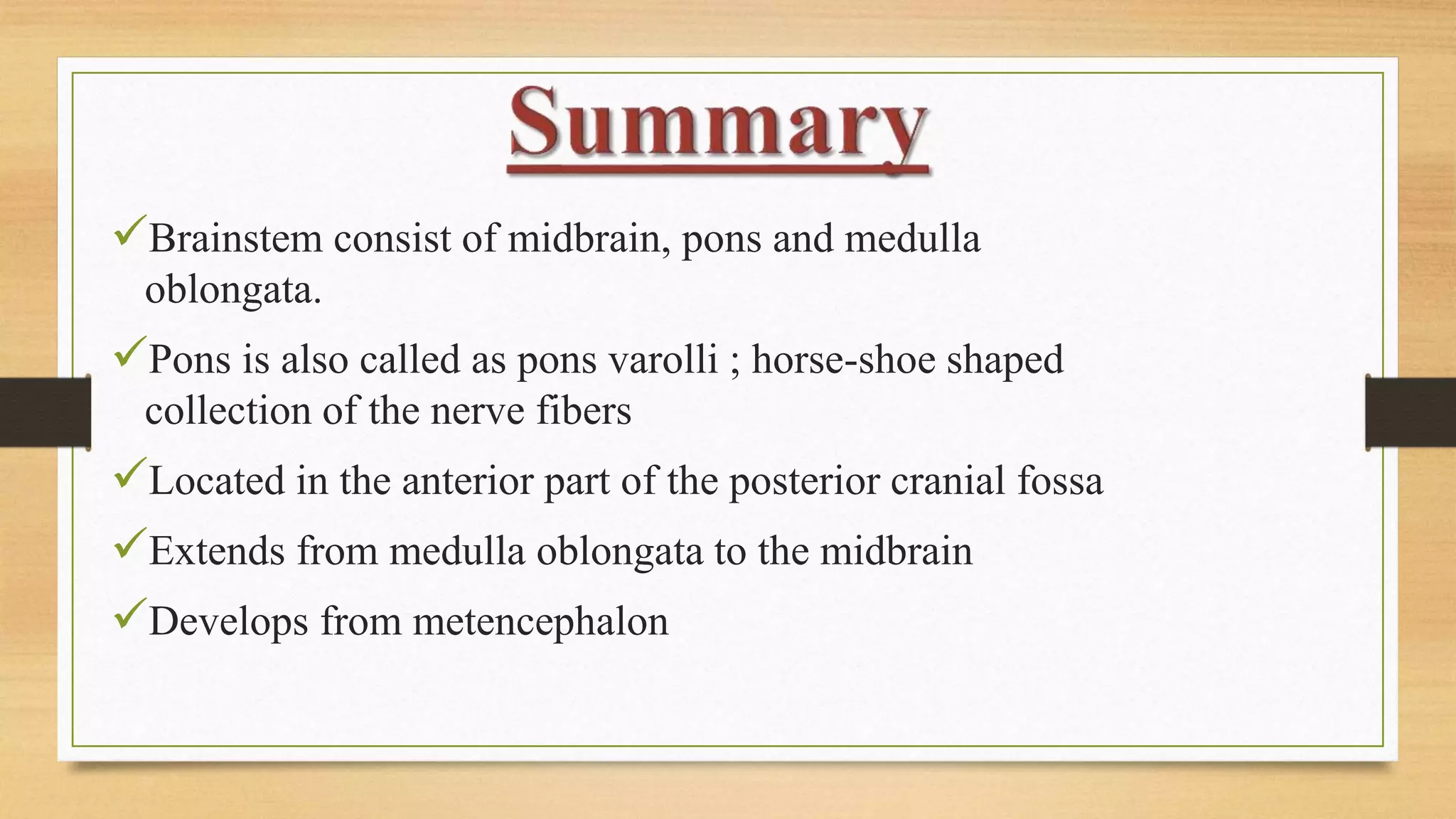 pons CNS neurophysiology | PPTX