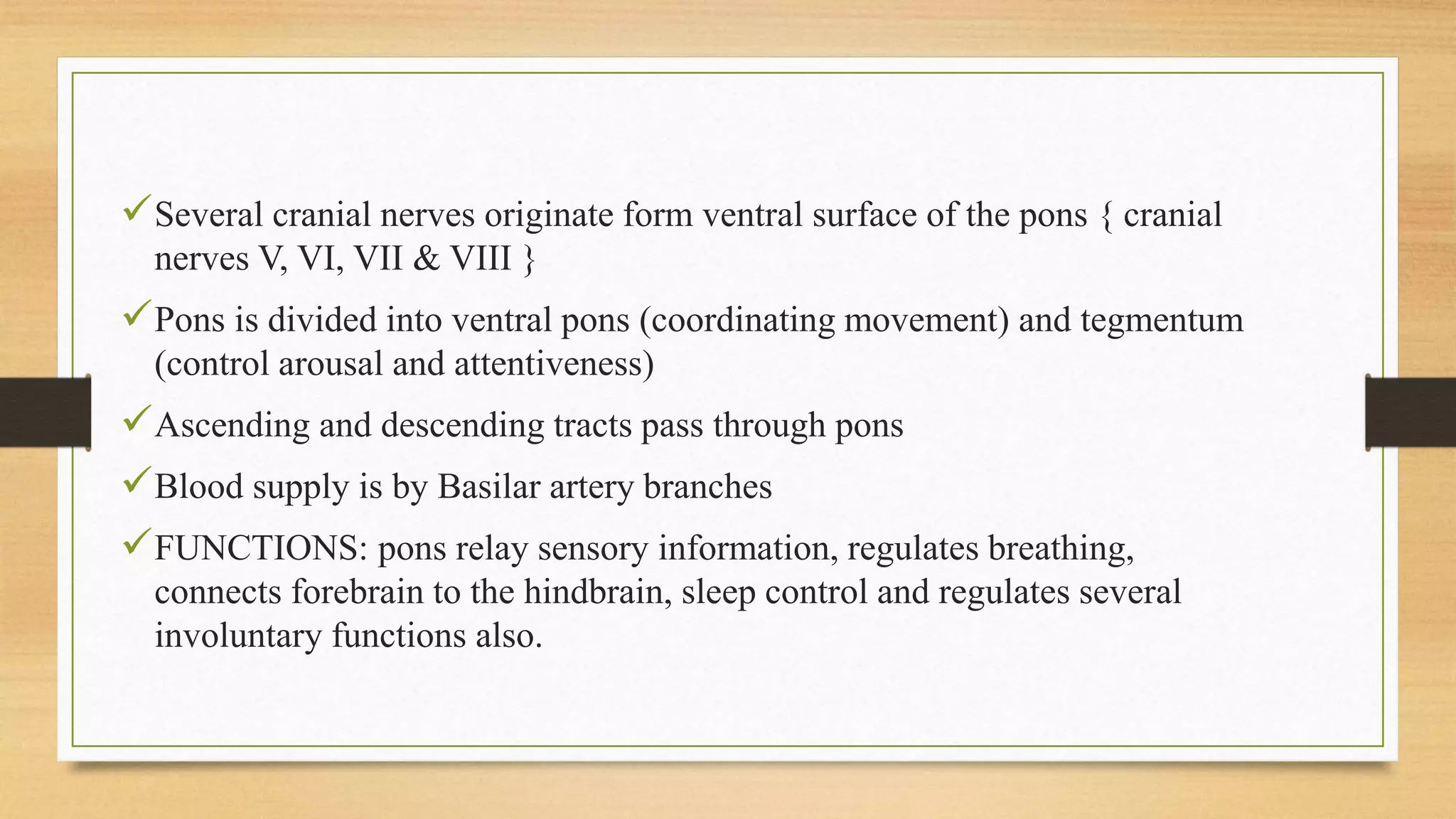 pons CNS neurophysiology | PPTX