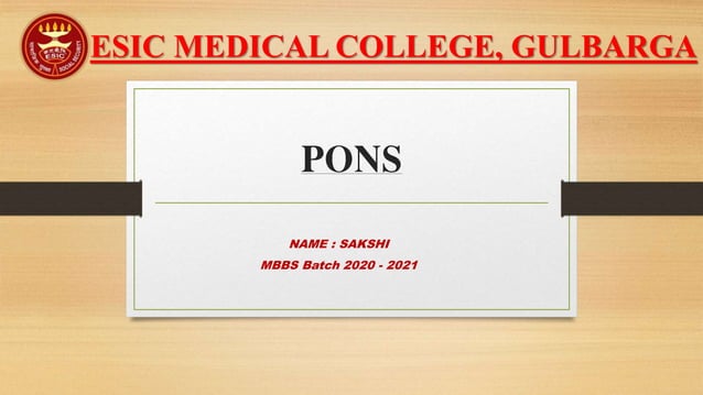 pons CNS neurophysiology | PPTX | Brain and Nervous System Disorders | Diseases and Conditions