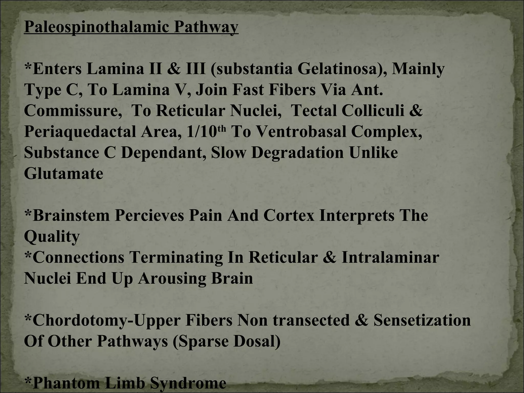 Central Nervous System, Complete CNS Physiology, MBBS | PPT