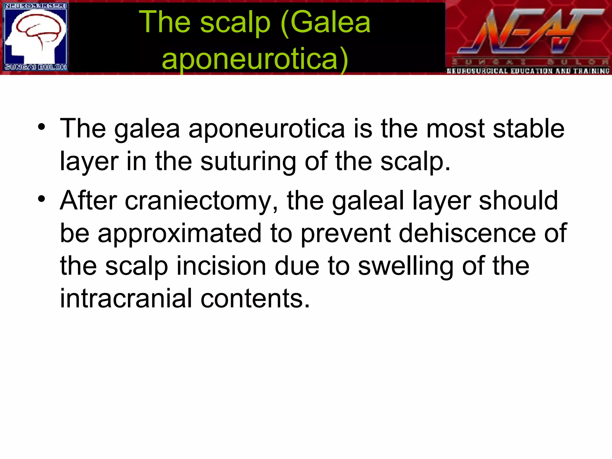 Applied Surgical Anatomy of the Brain and Spinal Cord | PPT