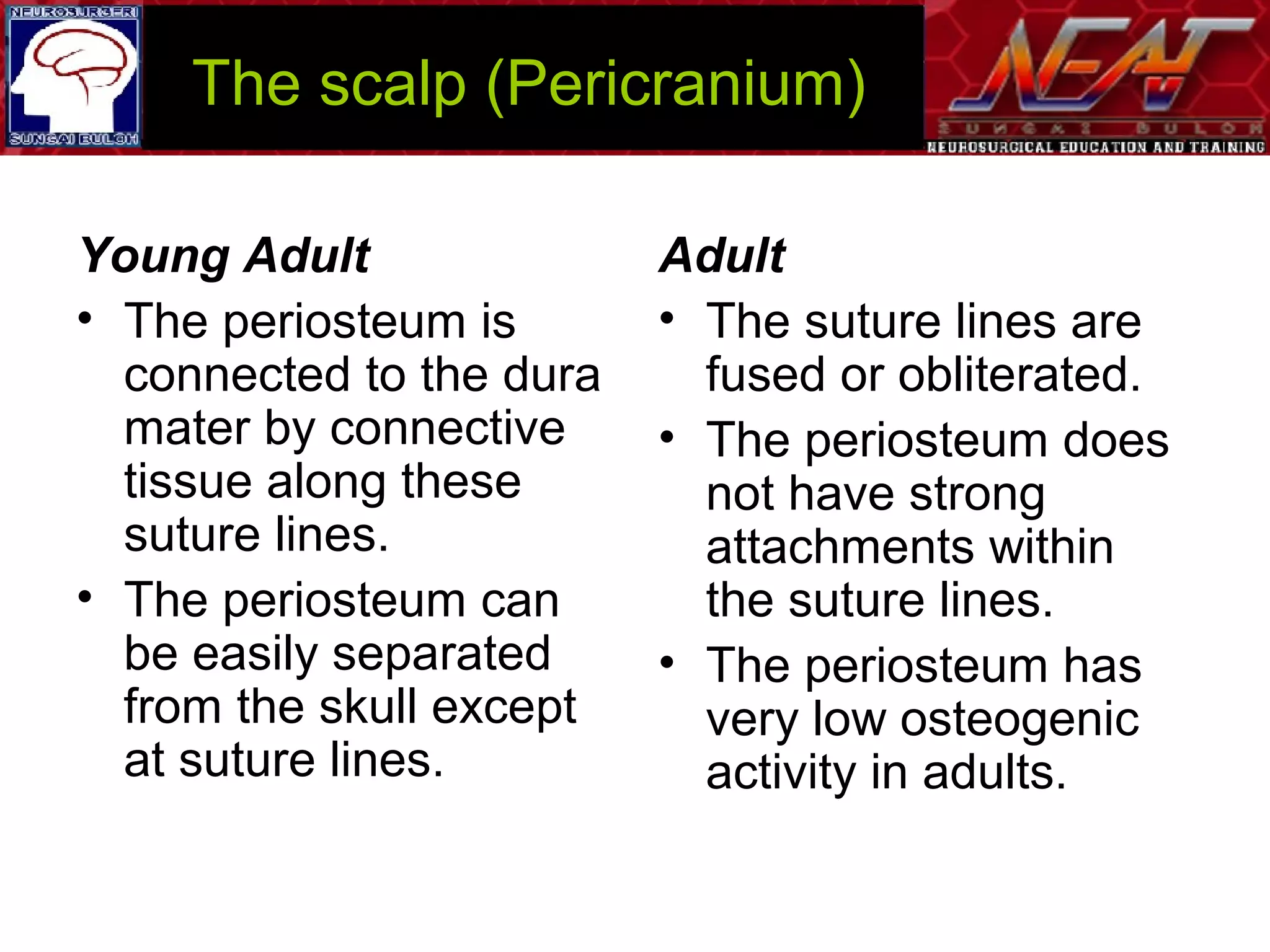 Applied Surgical Anatomy of the Brain and Spinal Cord | PPT