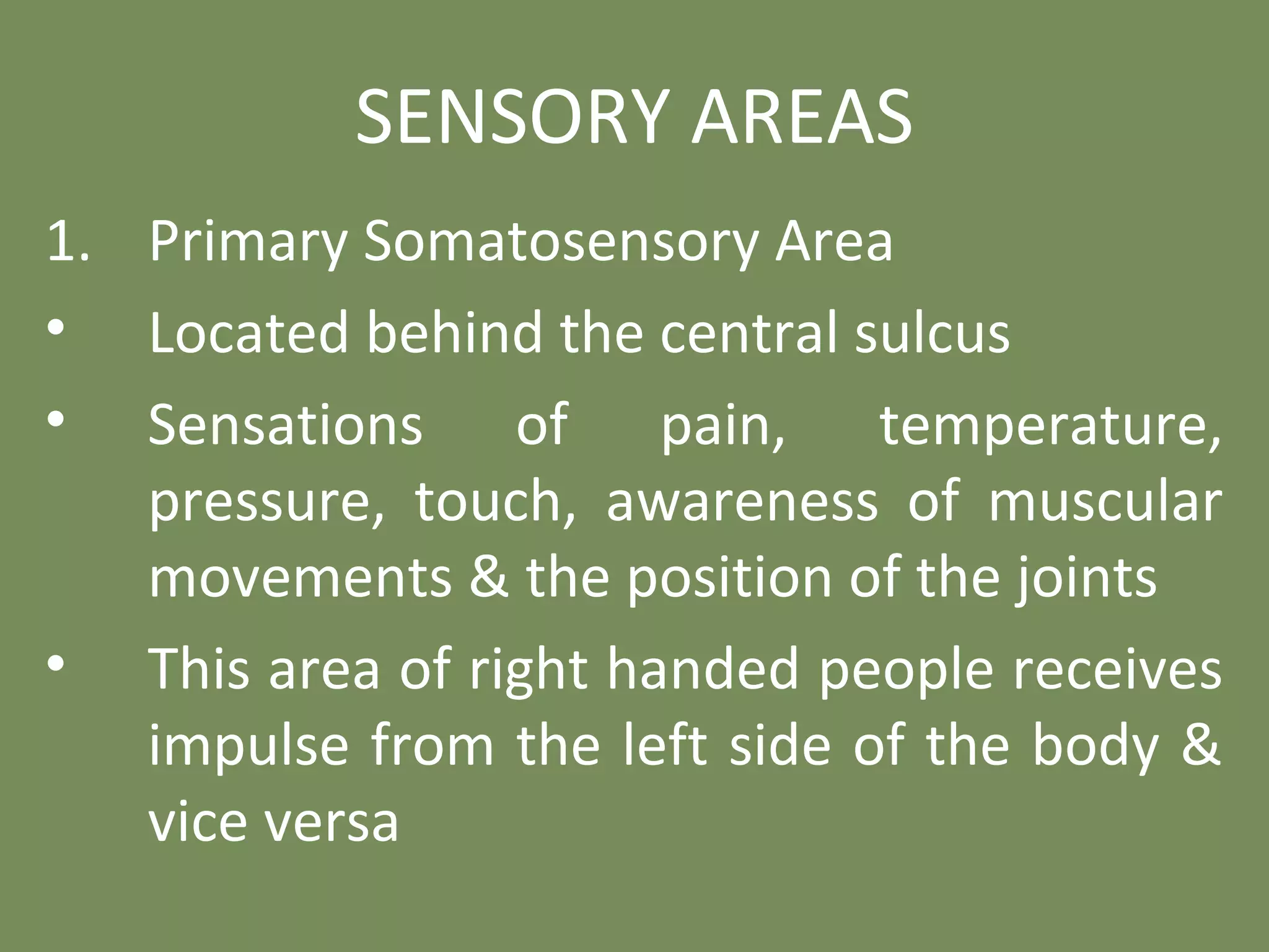Central Nervous system: Brain | PPT