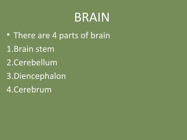 Central Nervous system: Brain | PPT