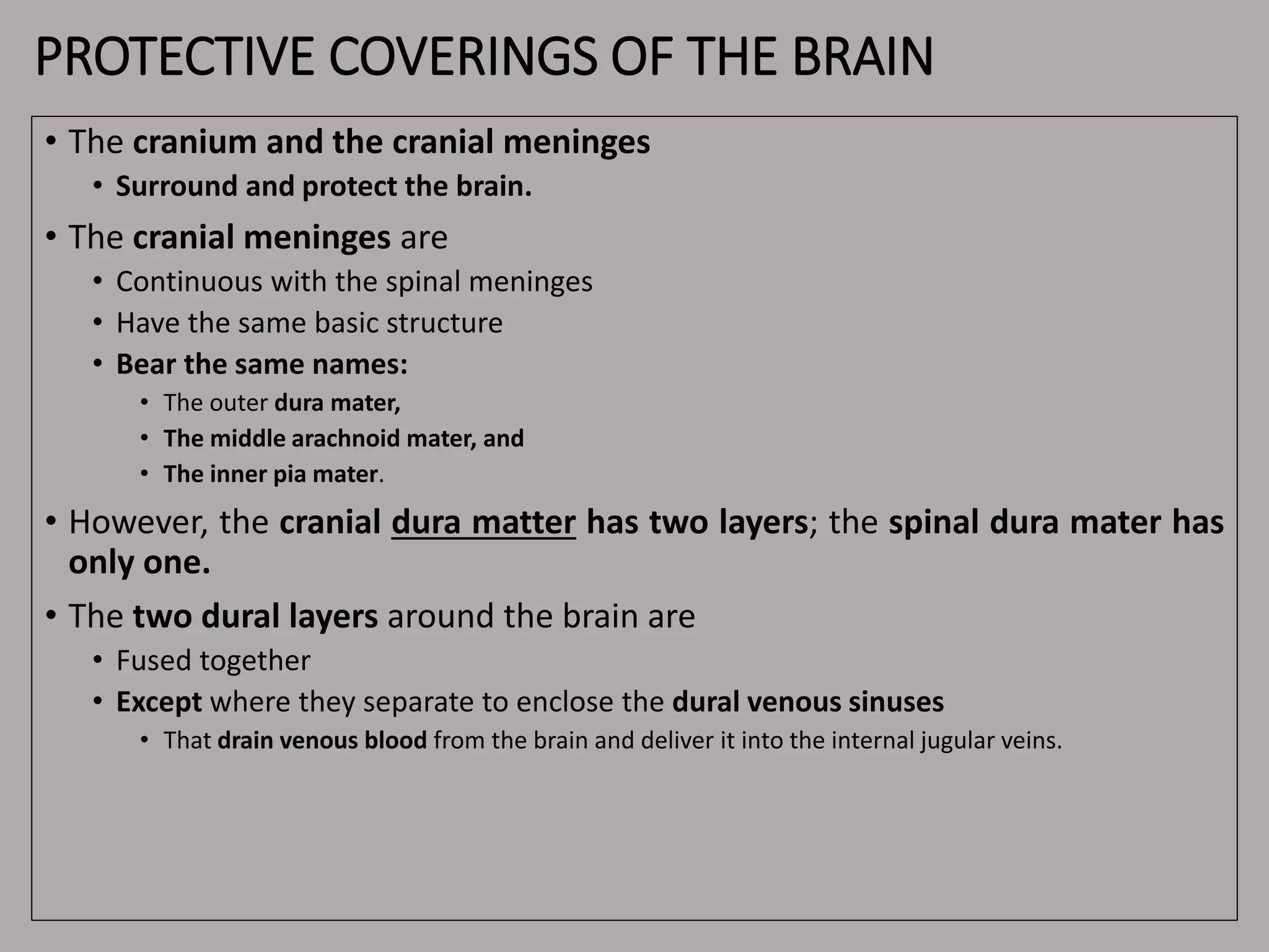 Central nervous system (brain and spinal cord) CNS | PPTX