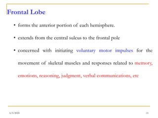 CNS 2.ppt cardiovascular anatomy powerpoint f | PPT
