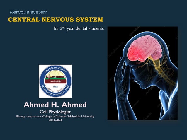 nervous system part 1 Dr Ahmed H Ahmed.pdf