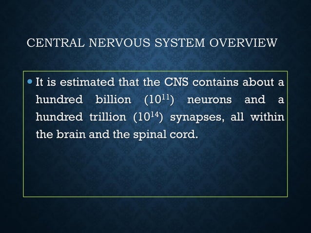 nervous system part 1 Dr Ahmed H Ahmed.pdf