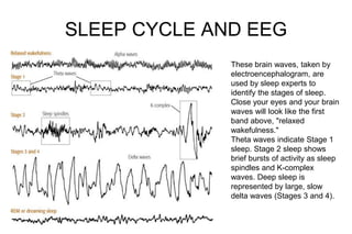 CNS_3_sleep.pdf