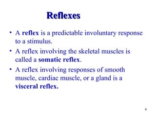 Comprehensive Overview of Human Reflexes and Reflex Arcs in the Nervous ...