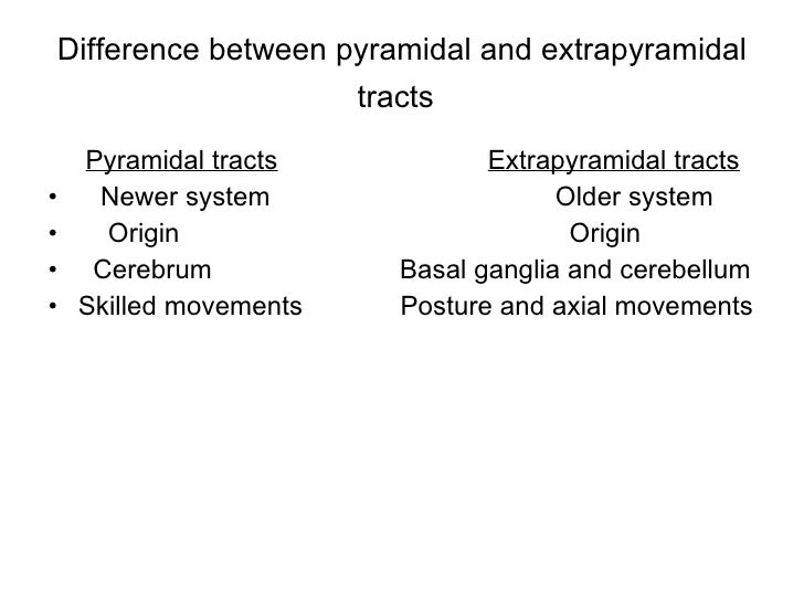 Pyramidal And Extrapyramidal Tracts Pdf Pyramidal And Extrapyramidal