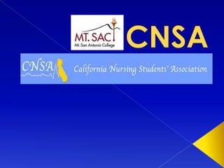 CNSA | PPT