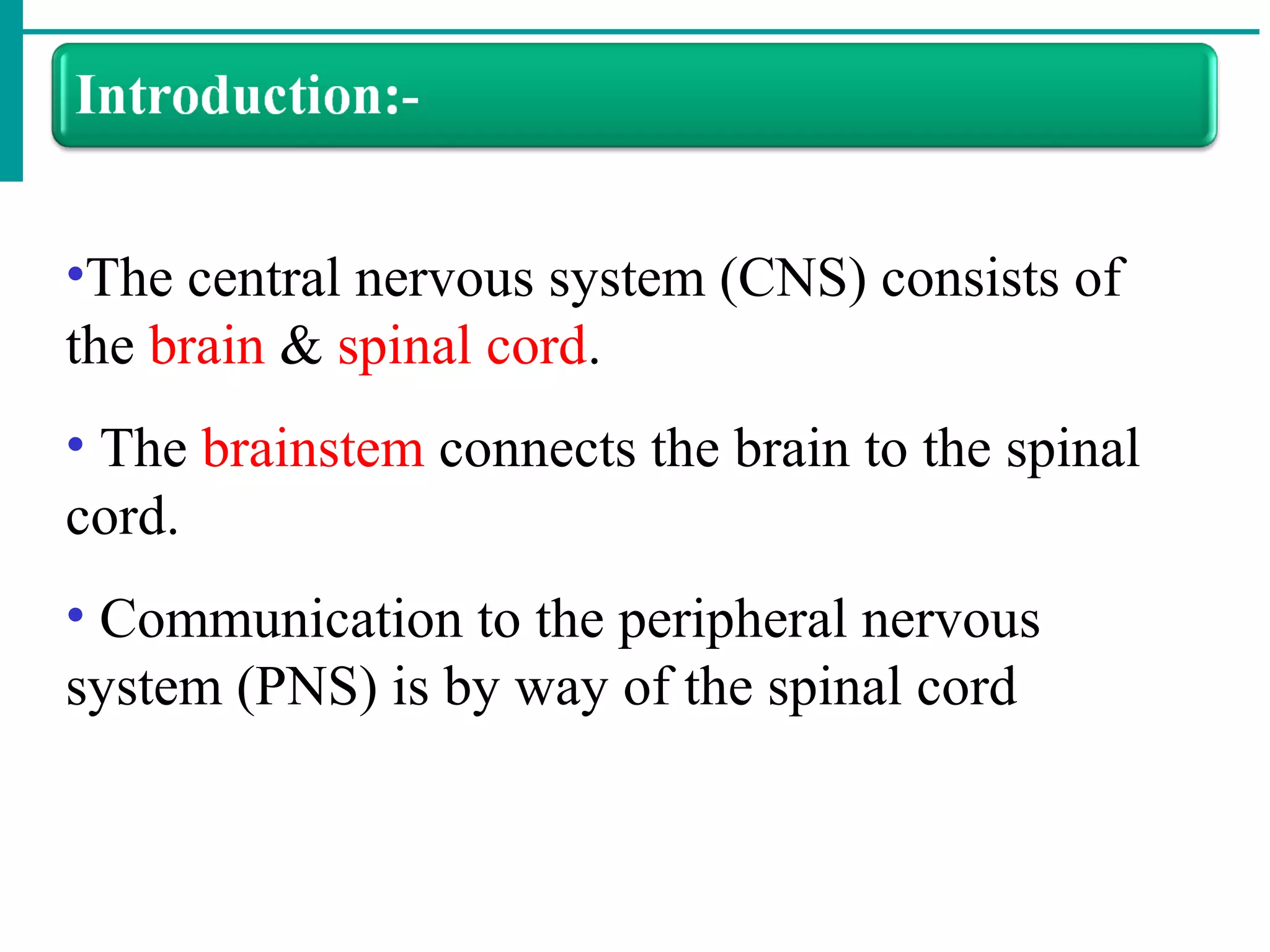 ppt on CNS | PPT