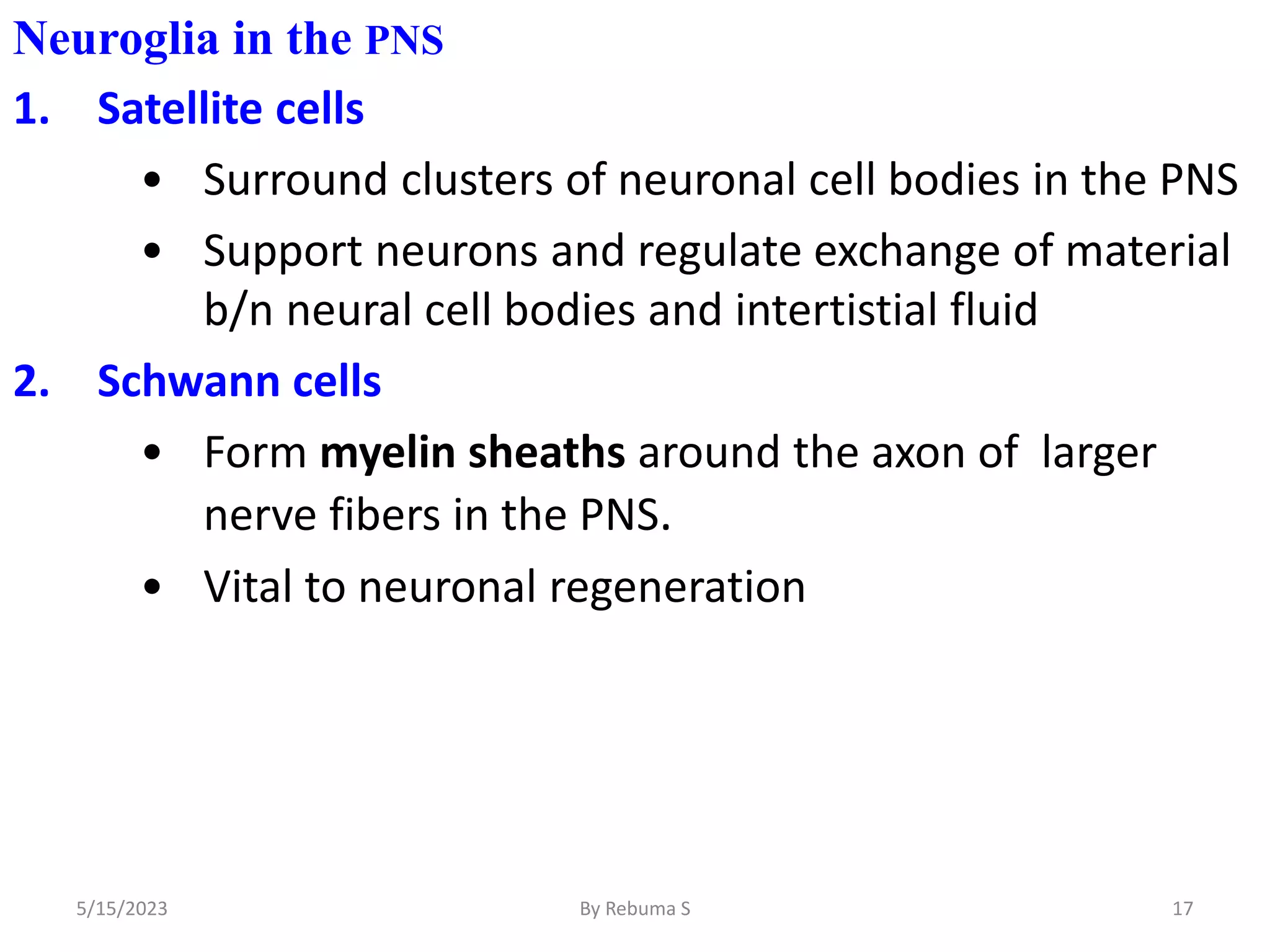 Cns Anatomy.ppt