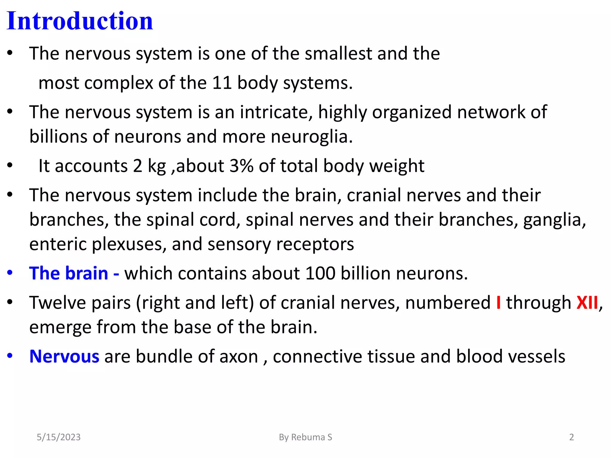 Cns Anatomy.ppt