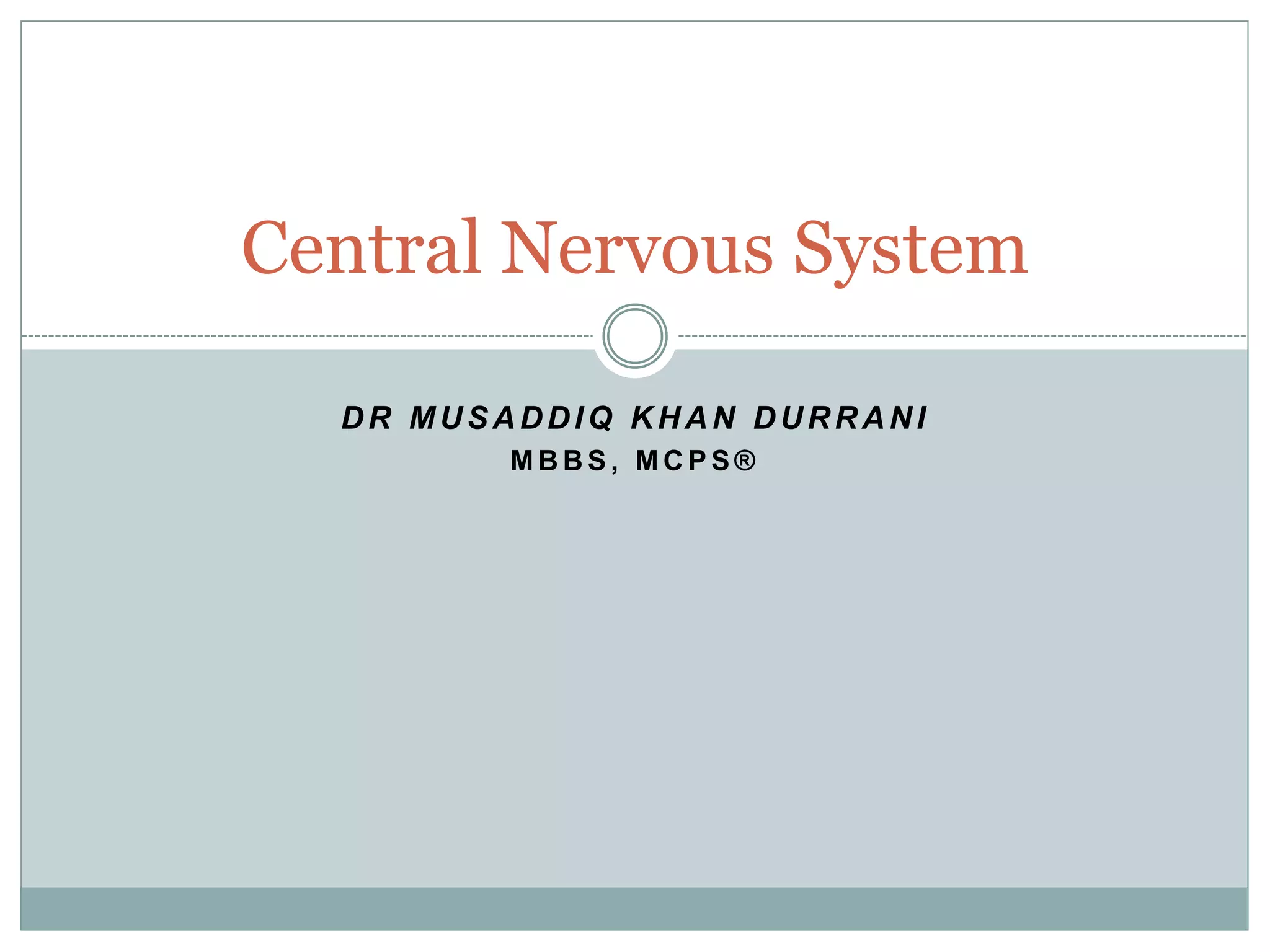 Basic Anatomy CNS | PPTX