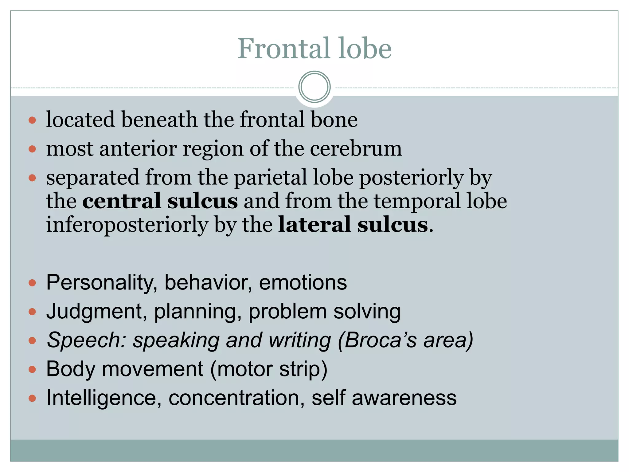Basic Anatomy CNS | PPTX