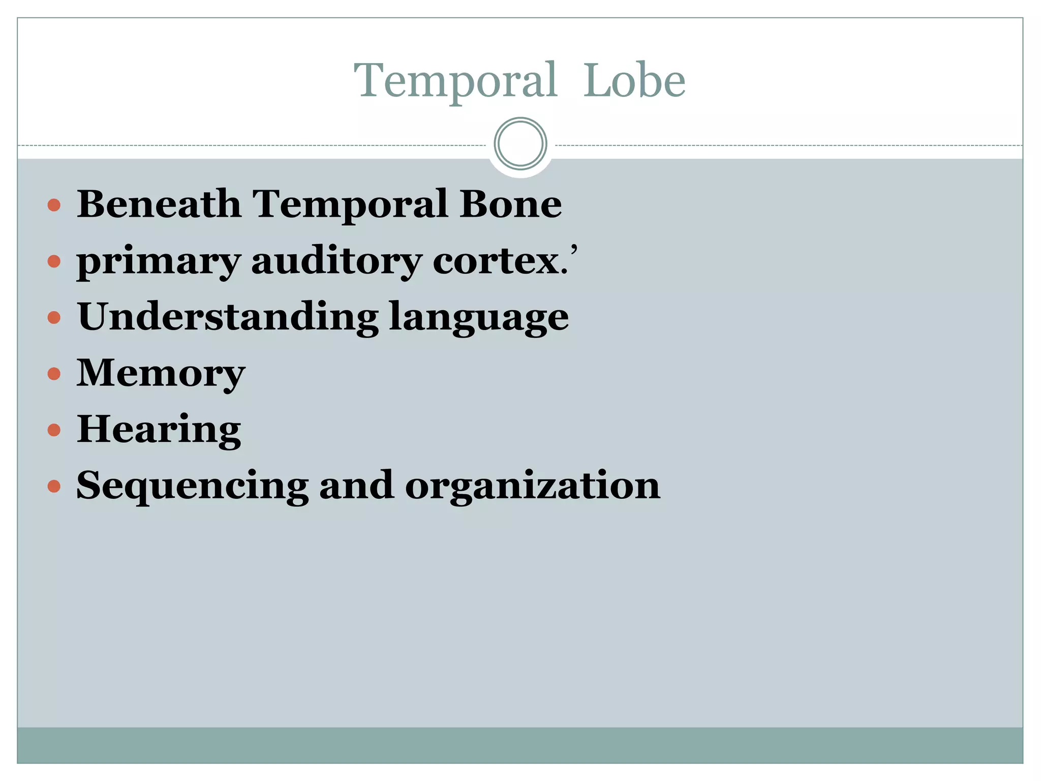 Basic Anatomy CNS | PPTX