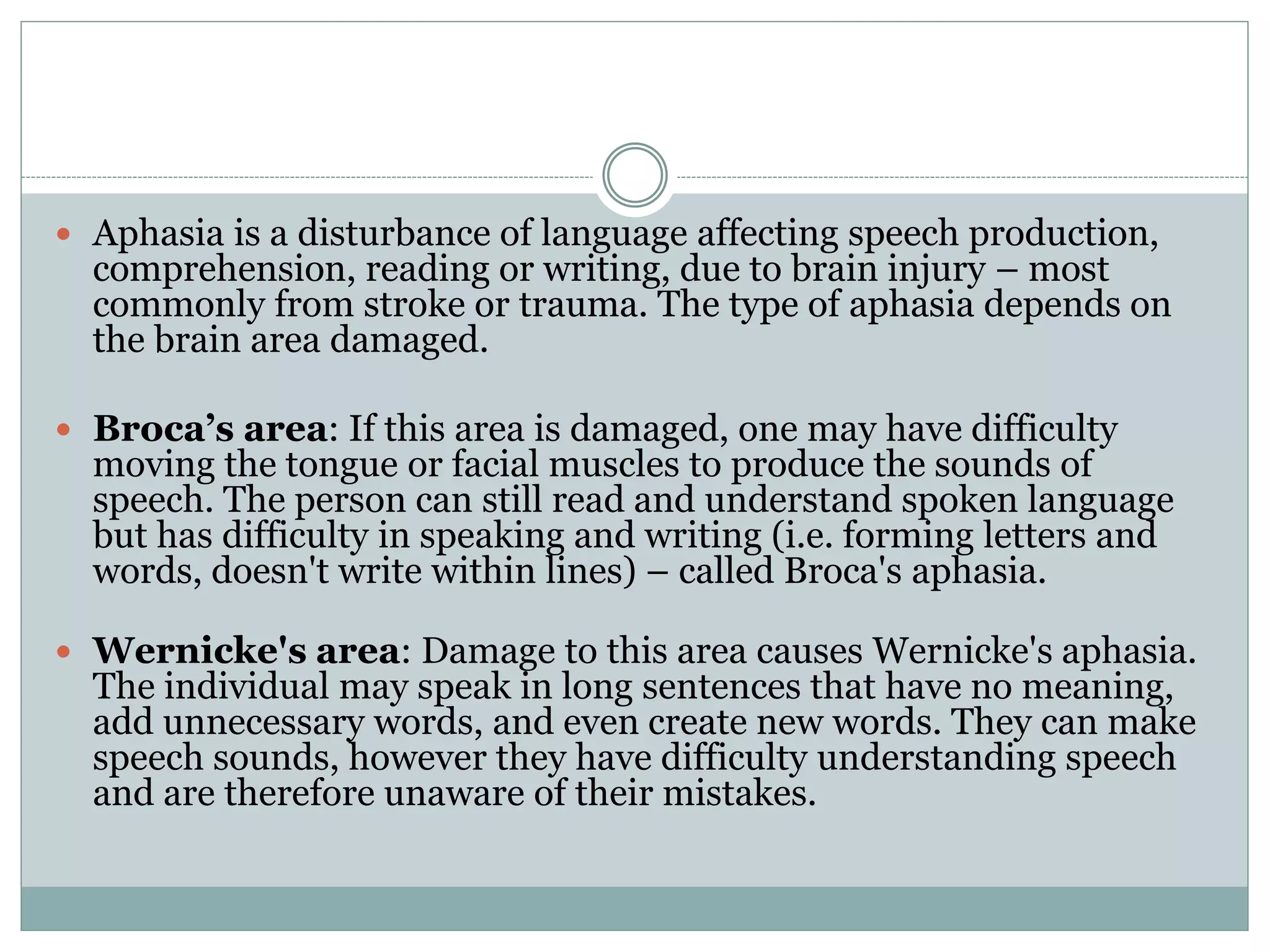 Basic Anatomy CNS | PPTX
