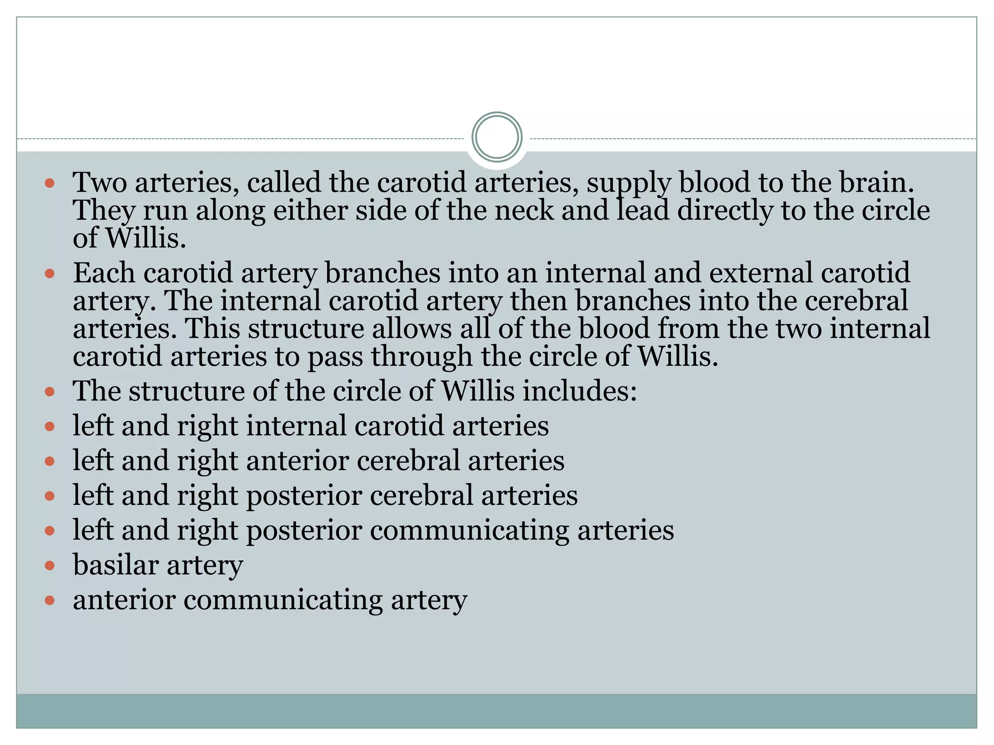 Basic Anatomy CNS | PPTX