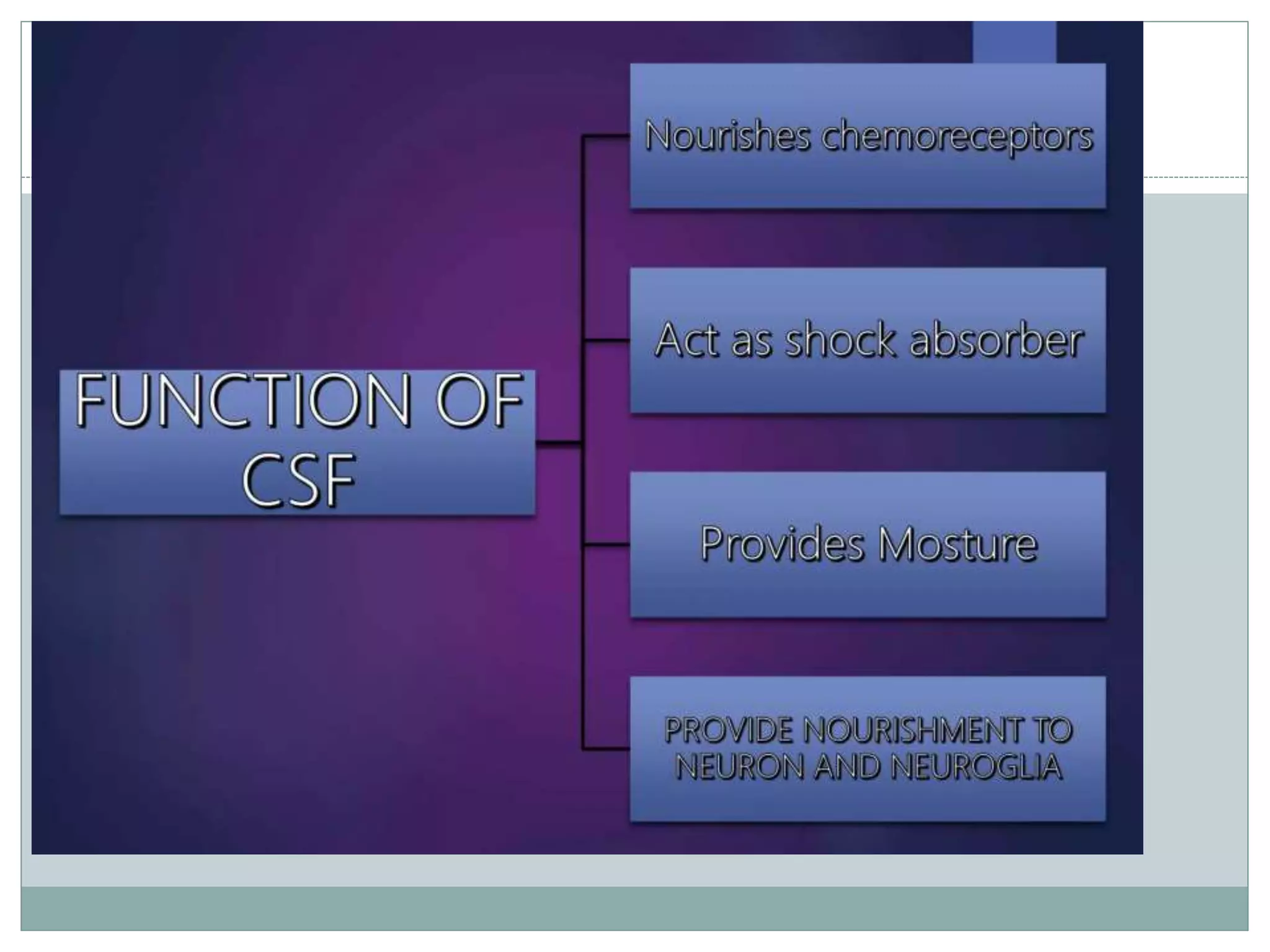 Basic Anatomy CNS | PPTX