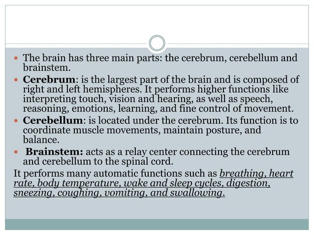 Basic Anatomy CNS | PPT