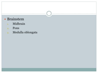 Basic Anatomy CNS | PPTX